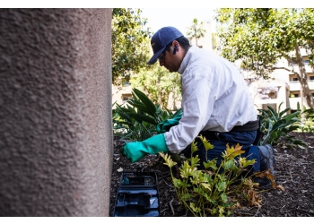 3 Best Pest Control Companies in Anaheim, CA - Expert Recommendations