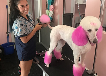 Top Dog Grooming Frisco