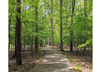 3 Best Hiking Trails in Hampton, VA - Expert Recommendations