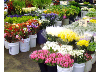 3 Best Florists in Los Angeles, CA - Expert Recommendations