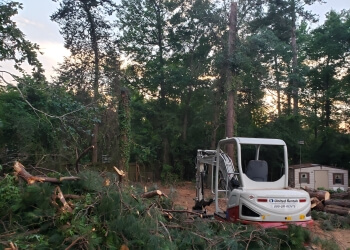 3 Best Tree Services in Columbus, GA - Expert Recommendations