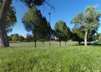 3 Best Public Parks in Albuquerque, NM - Expert Recommendations