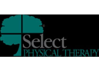 3 Best Physical Therapists in Hollywood, FL - Expert Recommendations