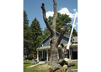 3 Best Tree Services in Worcester, MA - Expert Recommendations