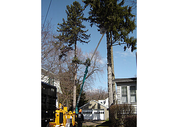 3 Best Tree Services in Worcester, MA - Expert Recommendations