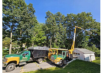 3 Best Tree Services in Worcester, MA - Expert Recommendations