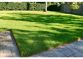 3 Best Landscaping Companies in Baton Rouge, LA - Expert Recommendations