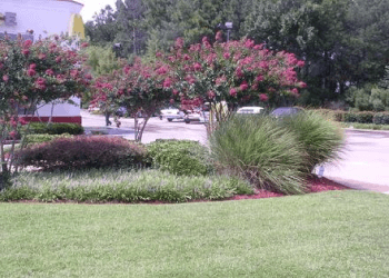 3 Best Landscaping Companies in Jackson, MS - Expert Recommendations
