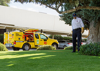 3 Best Pest Control Companies in Coral Springs, FL - Expert Recommendations