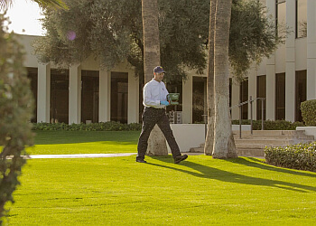 3 Best Pest Control Companies in Tucson, AZ - Expert Recommendations
