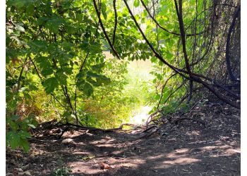3 Best Hiking Trails in Modesto, CA - Expert Recommendations