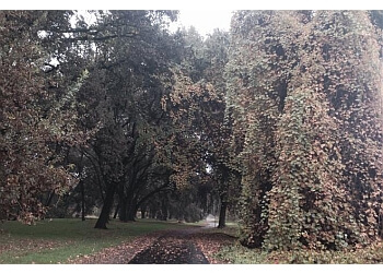 3 Best Hiking Trails in Modesto, CA - Expert Recommendations