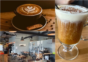 3 Best Cafe in Colorado Springs, CO - Expert Recommendations