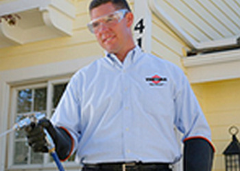 3 Best Pest Control Companies in Ventura, CA - Expert Recommendations