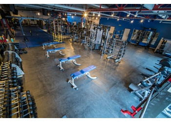 3 Best Gyms in Denver, CO - Expert Recommendations