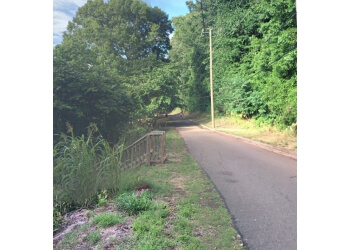 3 Best Hiking Trails in Birmingham, AL - Expert Recommendations