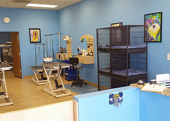 3 Best Pet Grooming in Tucson, AZ - Expert Recommendations