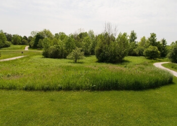 3 Best Public Parks in Ann Arbor, MI - Expert Recommendations