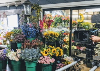 3 Best Florists in Milwaukee, WI - Expert Recommendations