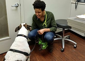3 Best Veterinary Clinics in New York City, NY - Expert Recommendations