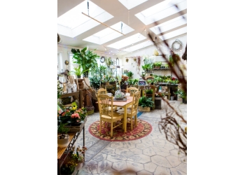 3 Best Florists in Syracuse, NY - Expert Recommendations