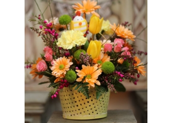 3 Best Florists in Syracuse, NY - Expert Recommendations