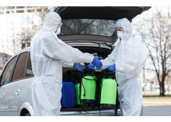 3 Best Pest Control Companies in Denver, CO - ThreeBestRated