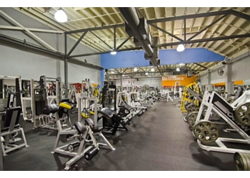 3 Best Gyms in San Francisco, CA - Expert Recommendations