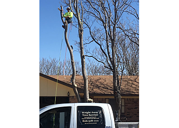3 Best Tree Services in Amarillo, TX - Expert Recommendations